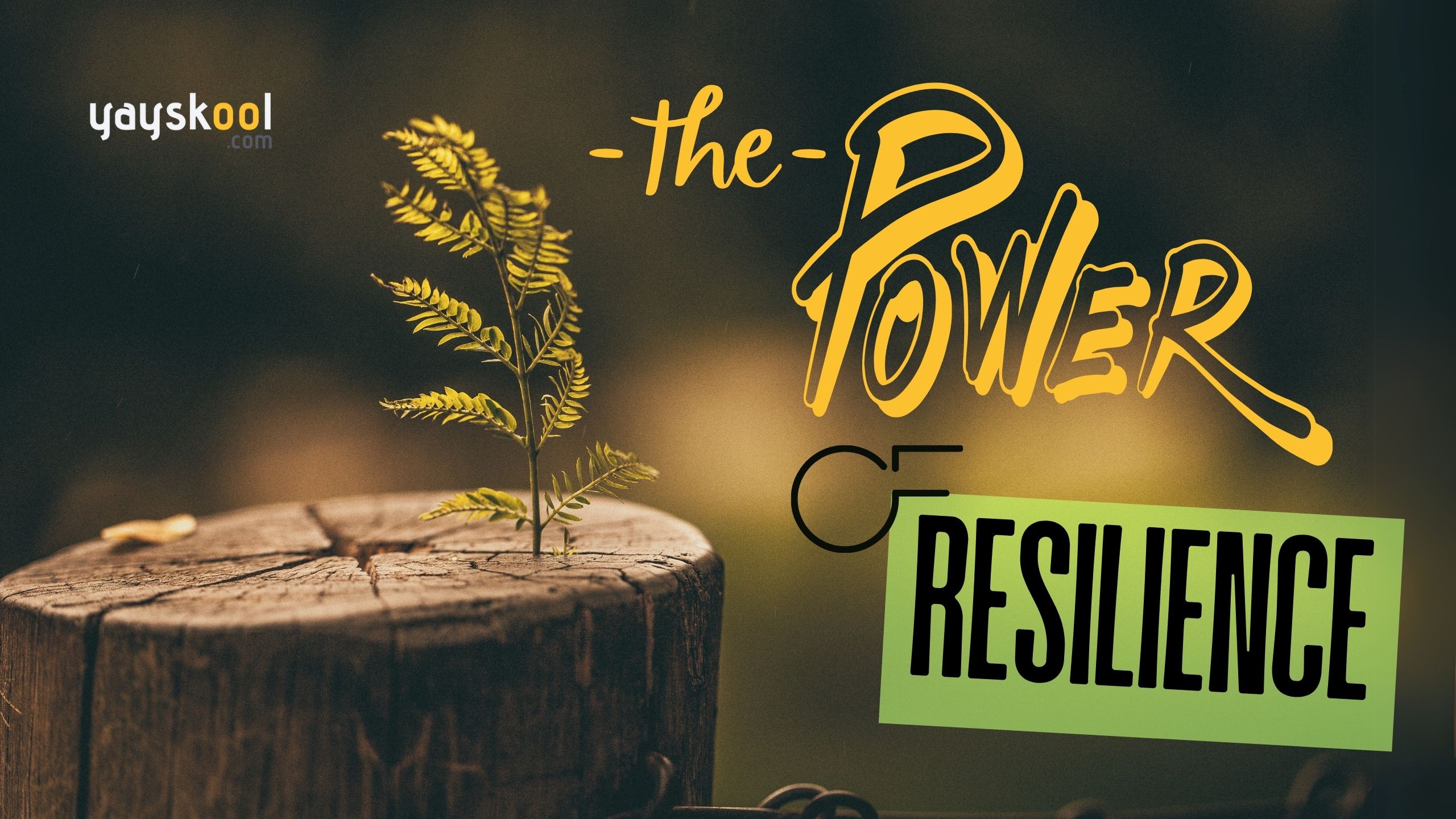 Blog- Helpful Articles & Insights - Parenting, Schools, Teachers - Yayskool