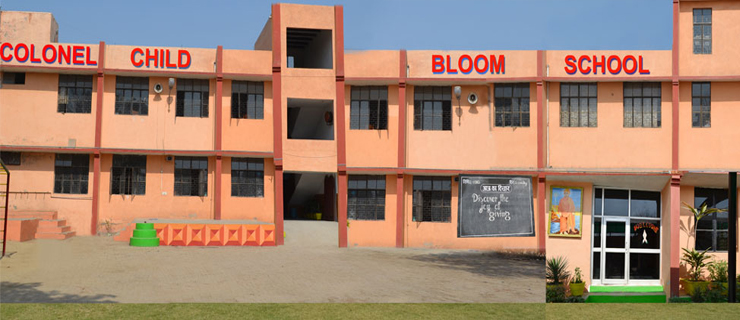 Colonel Child Bloom School, Naveen Palace Colony, South West Delhi, New ...