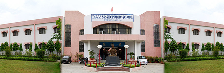 Dav Public School, Dudhichua, Jayant, Sidhi, Madhya Pradesh | YAYSKOOL