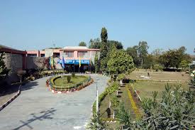 Kendriya Vidyalaya, NTPC township, Rihand Nagar, Bijpur, Sonebhadra ...