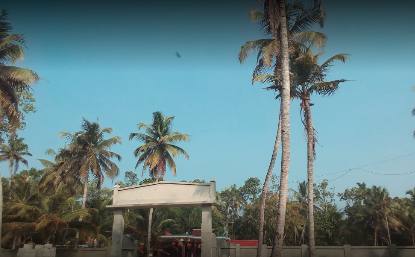 Marutha Mountains English Medium School, Thrikkunnapuzha, Pallana ...